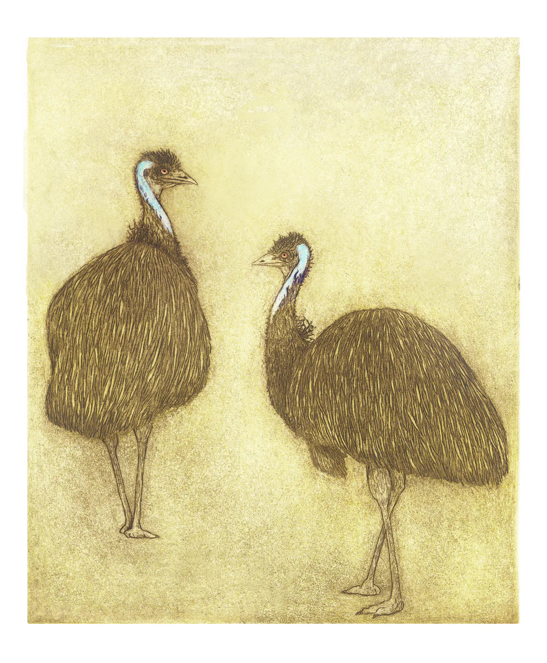 Australian Emus - Joseph Austin | Smartart – smartart art gallery