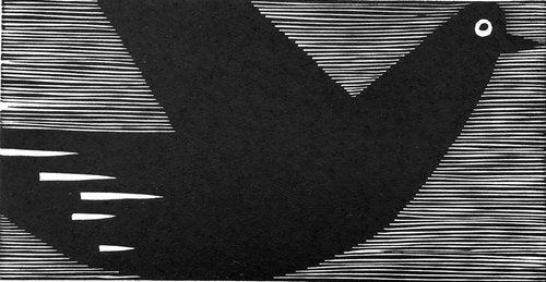 Bird - Lucy Timbrell | Smartart – smartart art gallery