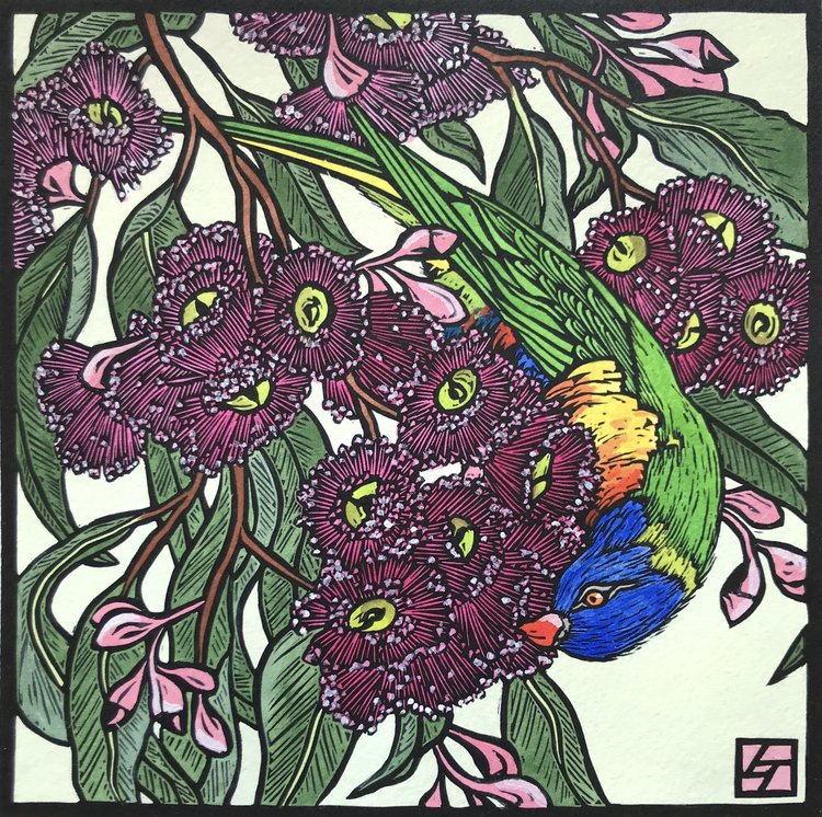 Rainbow Lorikeet on Flowering Gum - Lucy Timbrell | Smartart – smartart ...