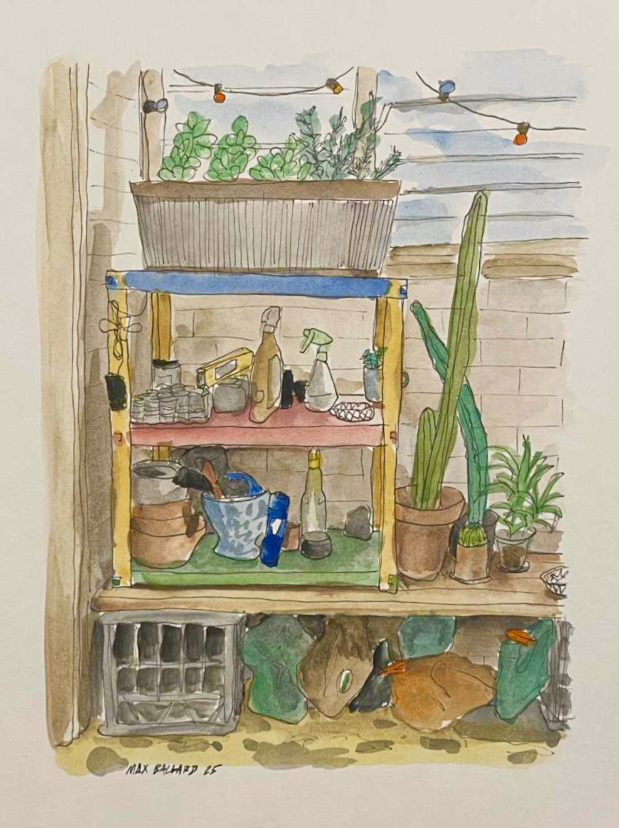Herb Garden, 2025 - Max Ballard | Smartart – smartart art gallery